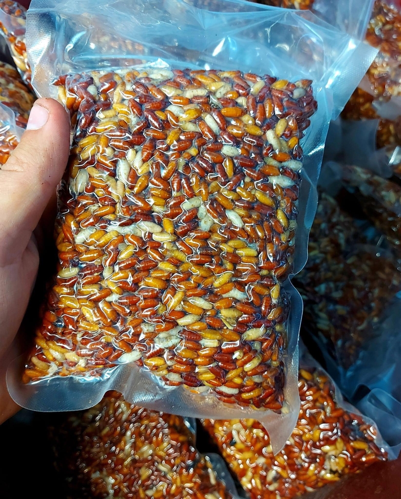 CASTERS - Catchy Bait