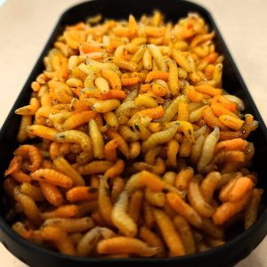 RED MAGGOT - Catchy Bait